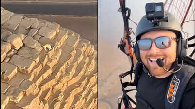 Did viral climbing dog return with friends atop Great Pyramid of Giza ...