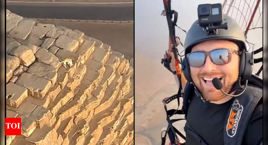 Did viral climbing dog return with friends atop Great Pyramid of Giza ...