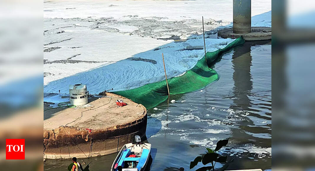 Yamuna: Yamuna River Pollution Crisis: UP's Sluice Gates Open ...