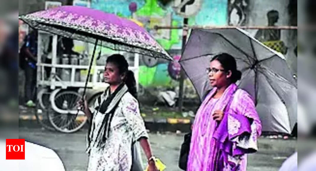 Cyclone Dana: Cyclone Dana Causes Disruption and Rainfall in Kolhan ...