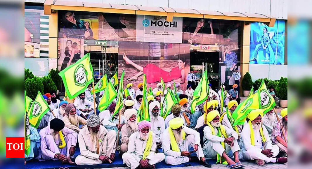 Farmers Protest and Block Roads Over Slow Paddy Lifting in Ludhiana ...