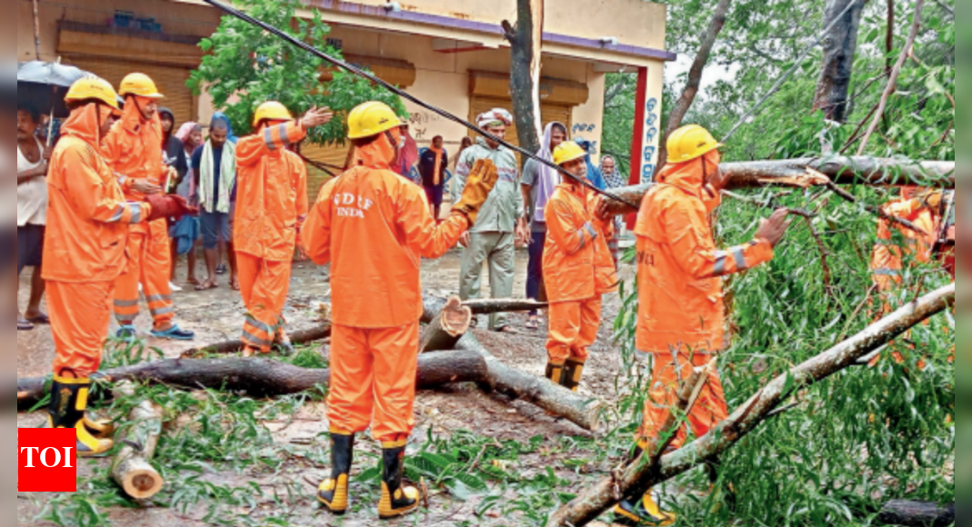 ODRAF: Odisha's Rapid Rescue: How ODRAF and Fire Services Averted ...