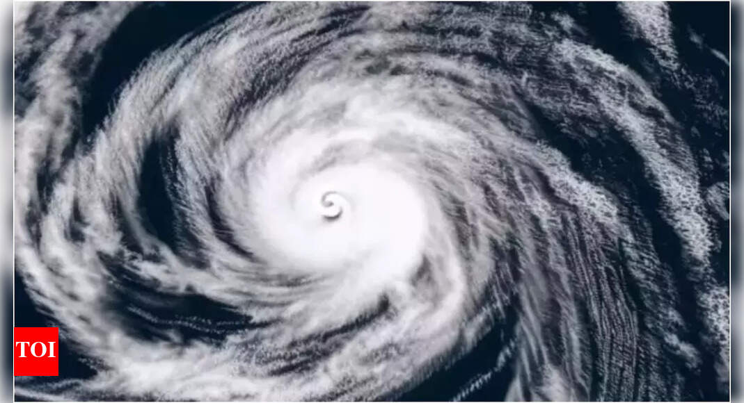 Cyclone Dana impacted 35.95 lakh people in Odisha, no human casualty so ...