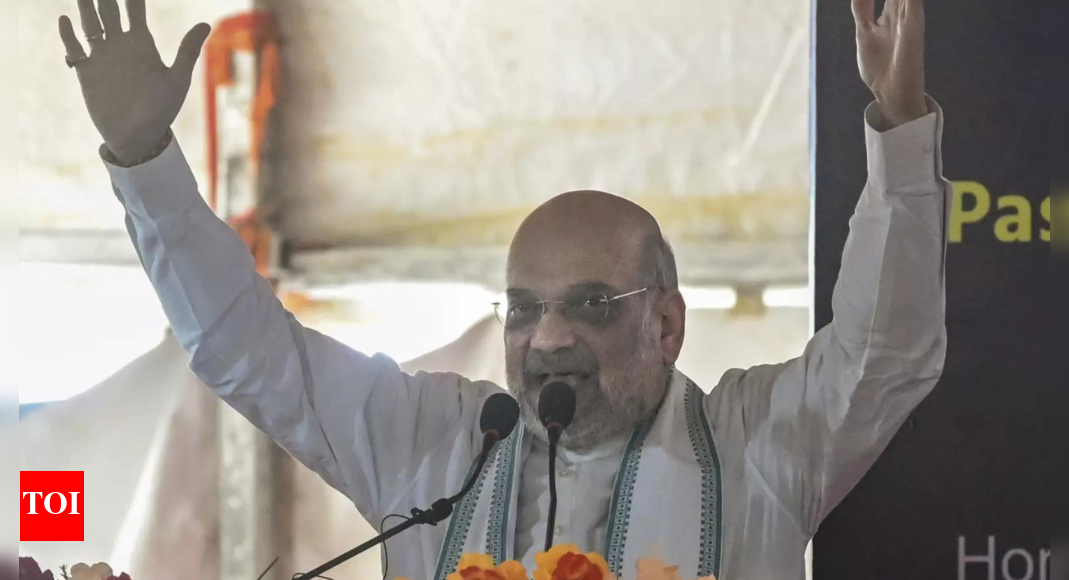 Peace can be established in Bengal only when cross-border infiltration stops: Amit Shah | India ...