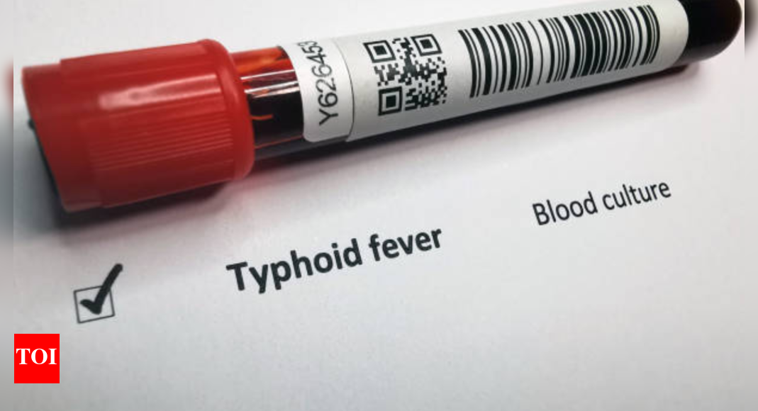 Typhoid: What raises the risk of Typhoid among children living in ...