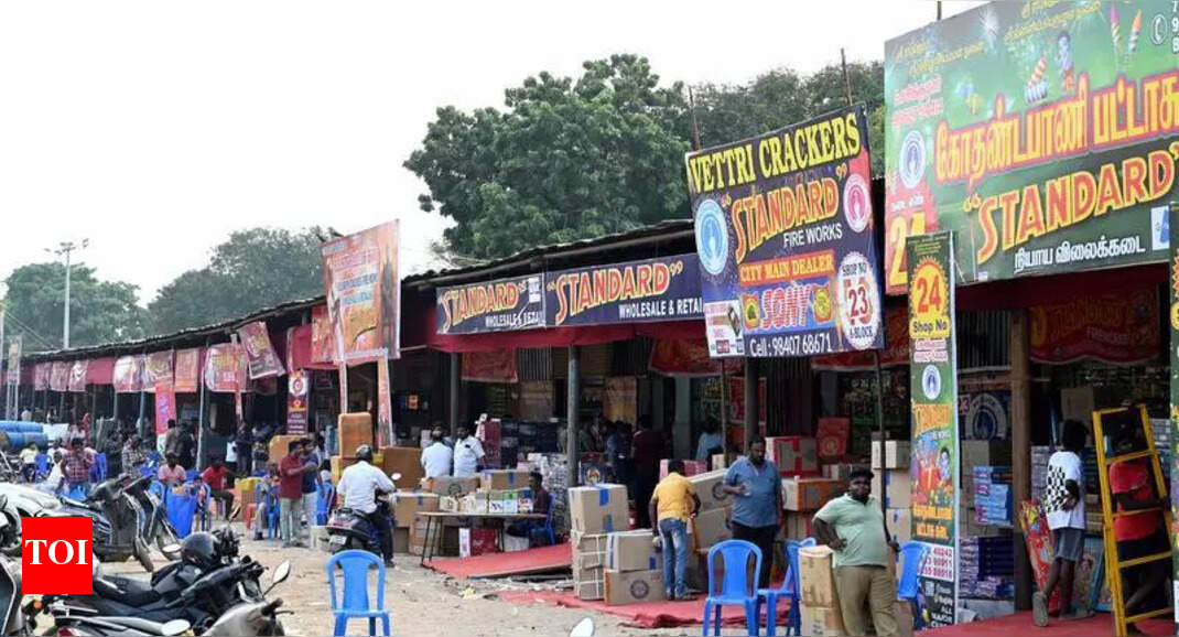 Dwindling Firecracker Sales in Chennai: Auction Woes and Low Public ...