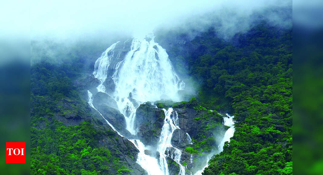 GTDC chief and Sanvordem MLA Ganesh Gaonkar blamed for Dudhsagar jeep ...