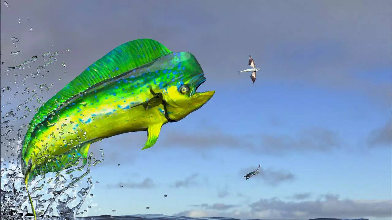 Which Is The Fastest Animal In The World In Water