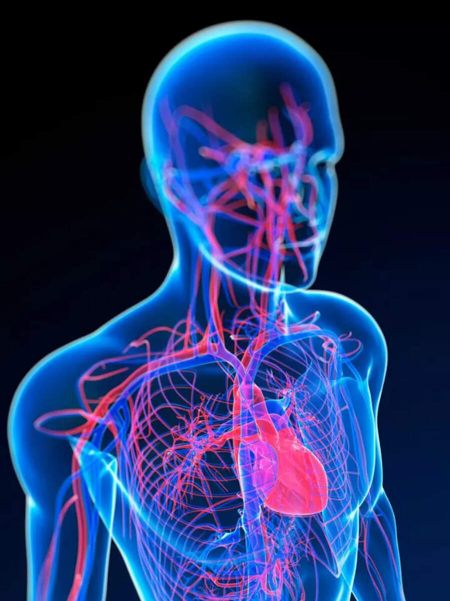 AVACEN Therapy & Microcirculation: Everything You Need To Know | Times ...