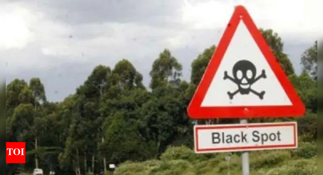 Karnataka Takes Action to Enhance Road Safety at Accident Black Spots ...