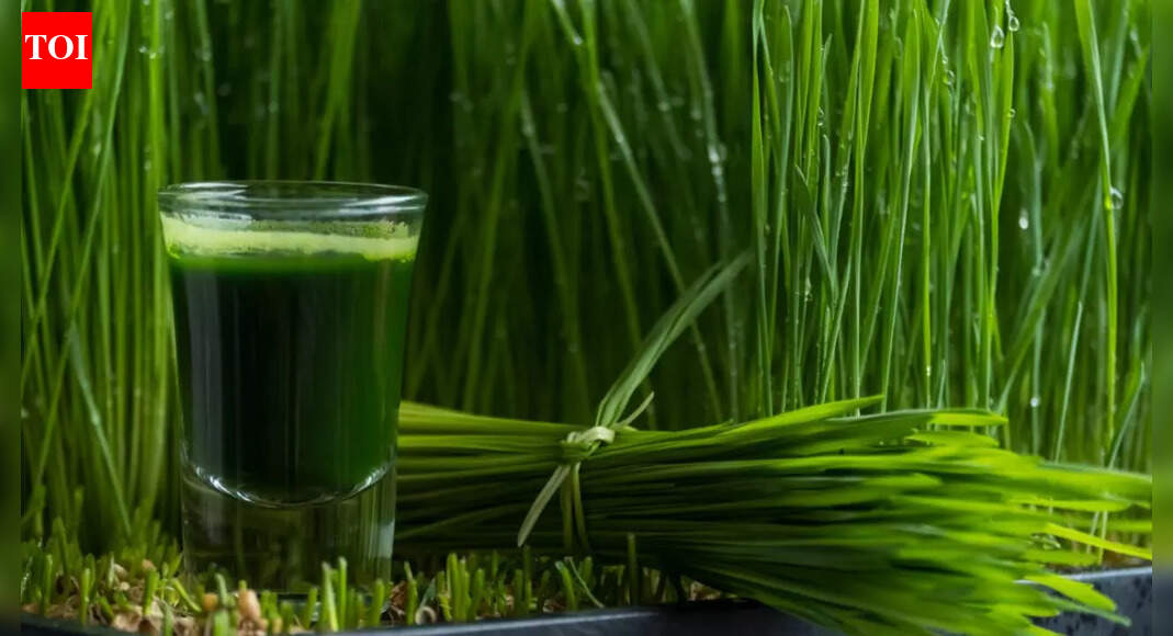 6 Incredible benefits of a daily teaspoon of wheatgrass