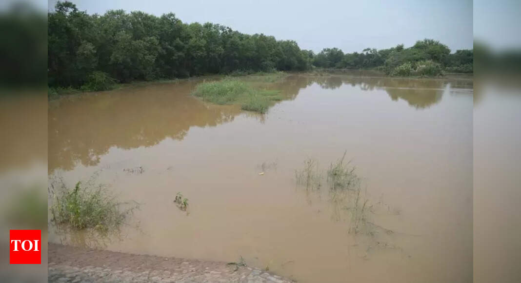 Mandya: Urgent Actions Needed to Fill Lakes in Mandya as Rain-Damaged ...