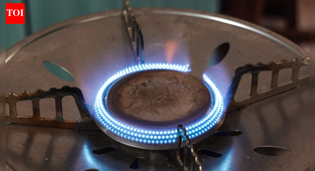 Single Burner Gas Stove: Top-Rated Single Burner Gas Stoves for Small ...