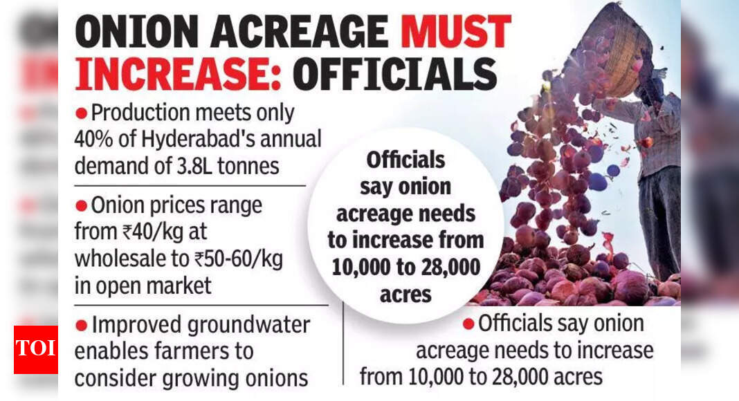 Hyderabad to Establish Onion Clusters Amid Soaring Prices | Hyderabad News - Times of India