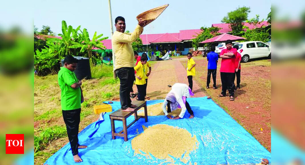 In a Khola school, students sow, grow, and harvest paddy | Goa News ...