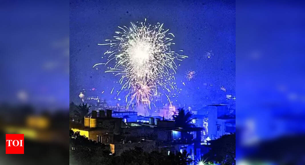 OSPCB: OSPCB Issues Warning on Loud Firecrackers for Festive Season in ...