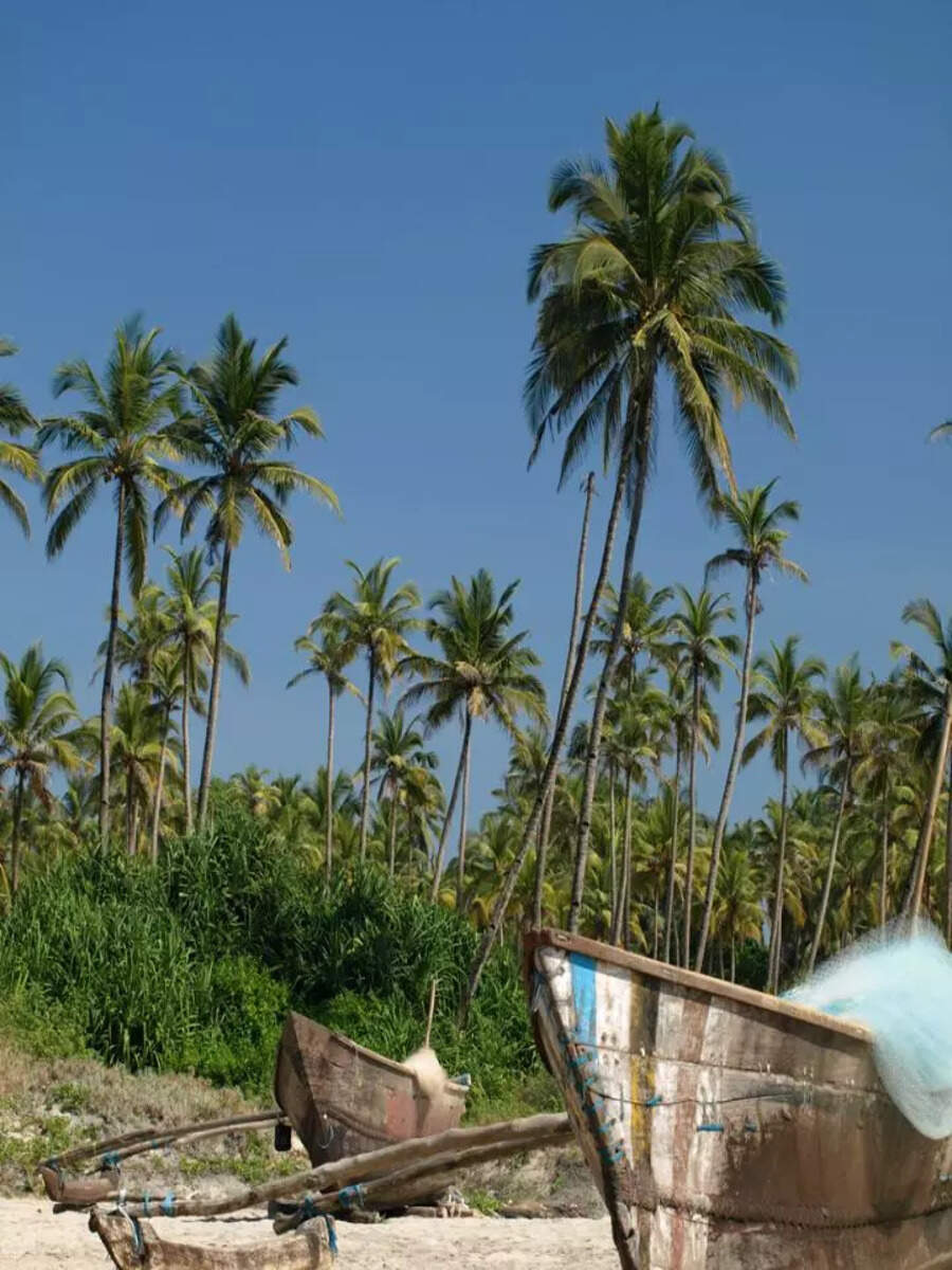 10 most scenic beaches in Goa for a relaxed holiday