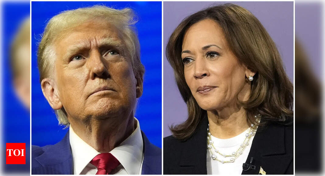 'Wisdom of crowds': Could political betting swing the US election ...