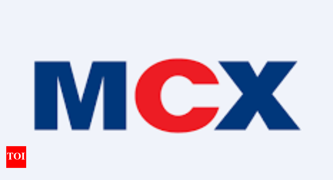 Praveena Rai takes charge as CEO of MCX - Times of India
