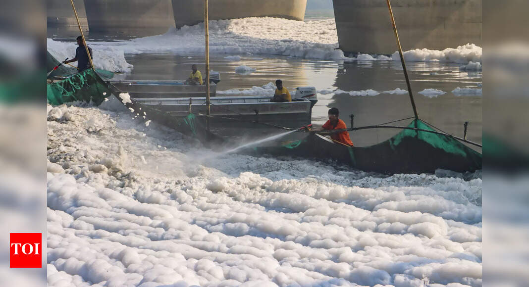 Yamuna River Pollution: Toxic foam in Yamuna raises pollution concerns ...
