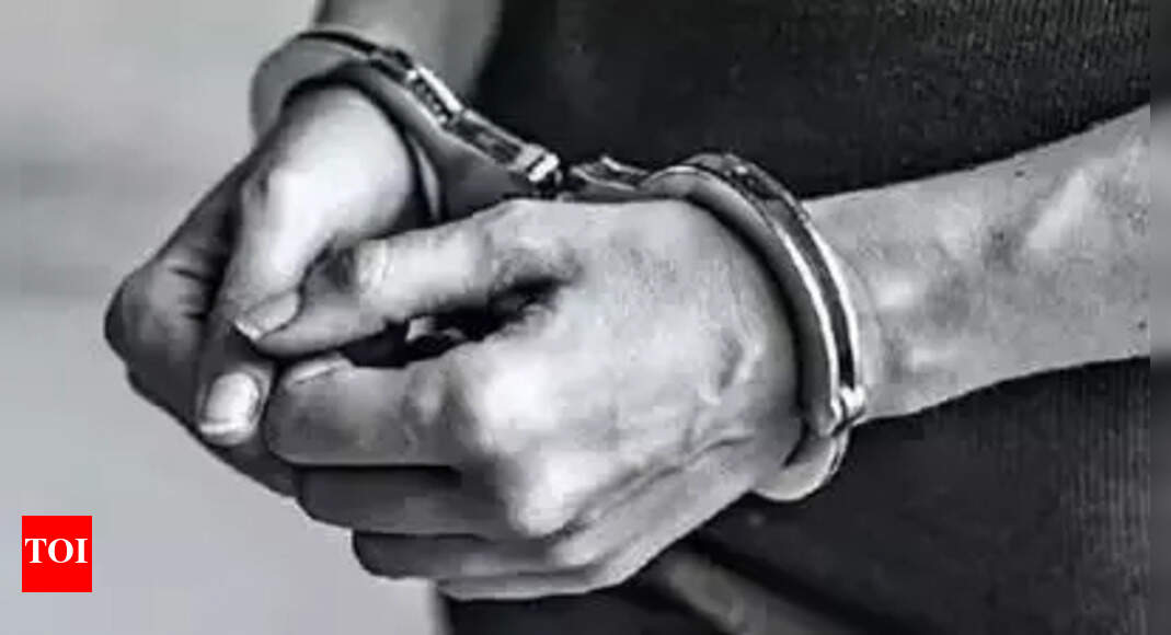 Cyber Fraud: Eight Arrested in Major Cyber Fraud Case Linked to Chinese ...