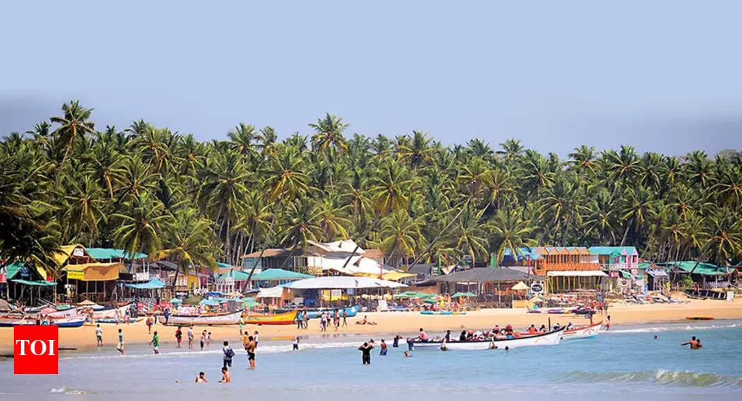 EXPERIENCE THE SPARKLE OF THE SUNSHINE STATE | Goa News - Times of India