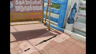 Panic on Cauvery Bridge as Gap Appears, Investigation Underway | Trichy ...