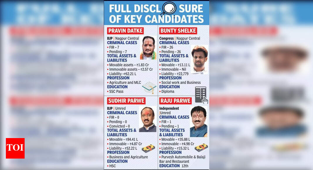 Nagpur Central and Umred Elections: Bunty Shelke Declares Just Rs13L in ...