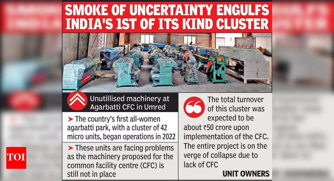 Umred Agarbatti Cluster: Dismal Fate of Umred's All-Women Agarbatti ...