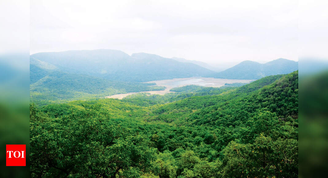 Boost to filmmakers with new documentary platform | Goa News - Times of ...