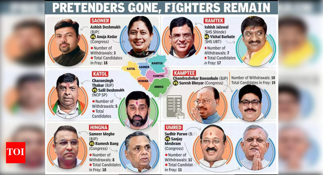 High-Stakes Elections in Nagpur: Key Battles in Ramtek and Katol ...