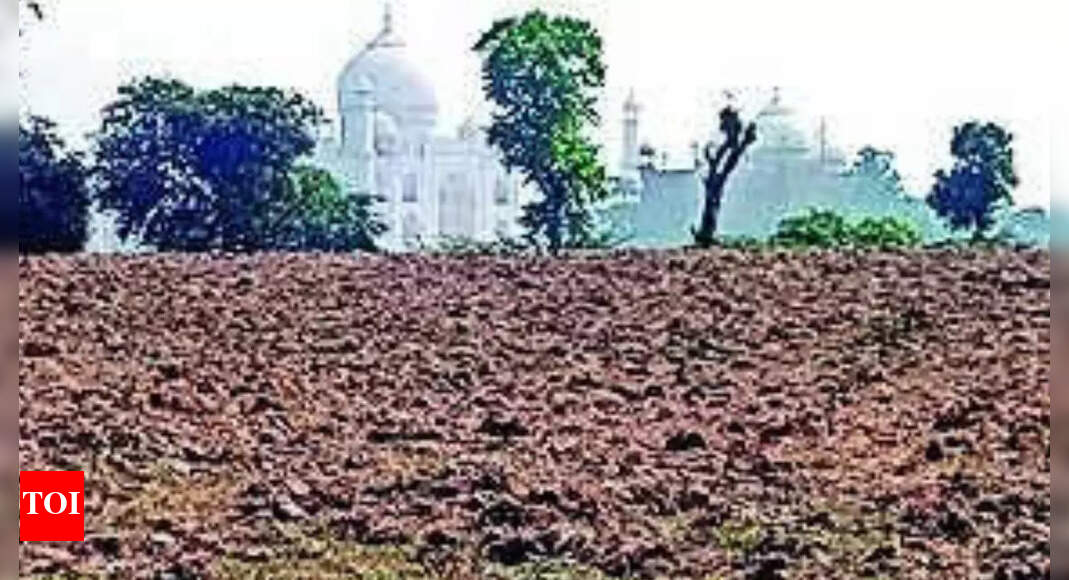Farmer's Land Claim Threatens Iconic Taj View Park in Agra | Agra News ...