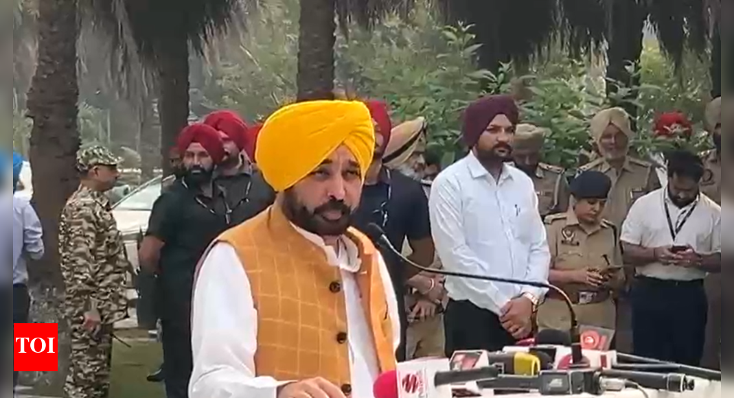 Punjab CM Bhagwant Mann condemns violence in Canada, urges Indian govt to address issue with ...