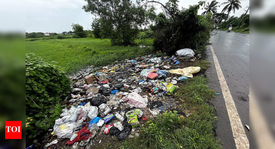 Govt to amend laws to impose huge fines on roadside garbage disposal ...