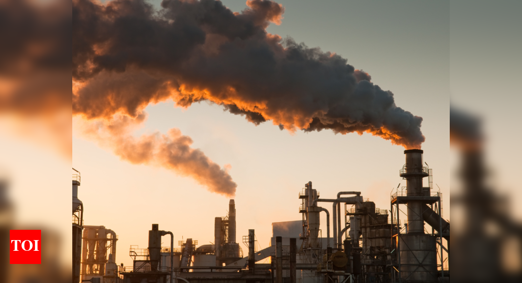 'Air pollution plays a big role in sudden heart attacks and strokes ...