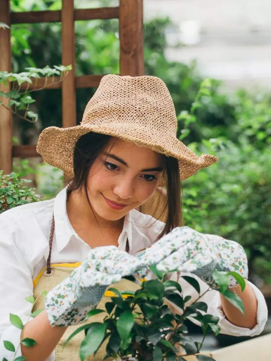 11 gardening tips by experts that beginners should know | Times of India