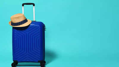 Medium Size Trolley Bags For Effortless Travel With Durability ...