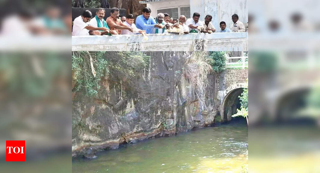 Manimuthar Dam Water Release Initiates Irrigation for Farmlands in ...