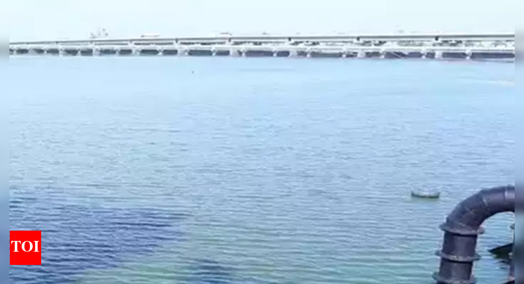 Porur Wetland Park to Transform Local Landscape with Revived Lake ...