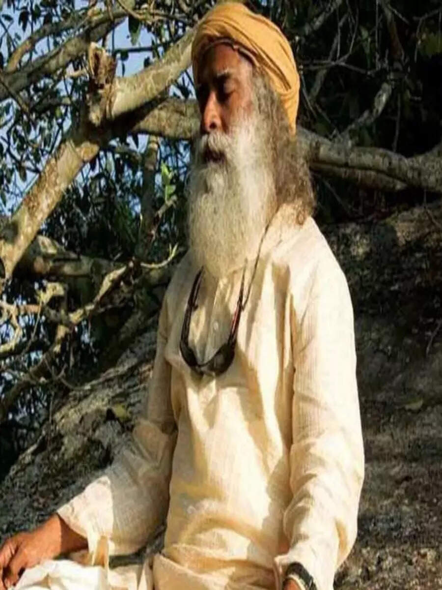 Sadhguru Sanatan Dharma Quotes: 5 Quotes by Sadhguru about Sanatan ...