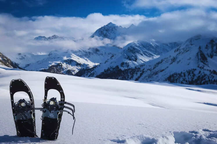 8 best winter adventures from around the world | Times of India Travel