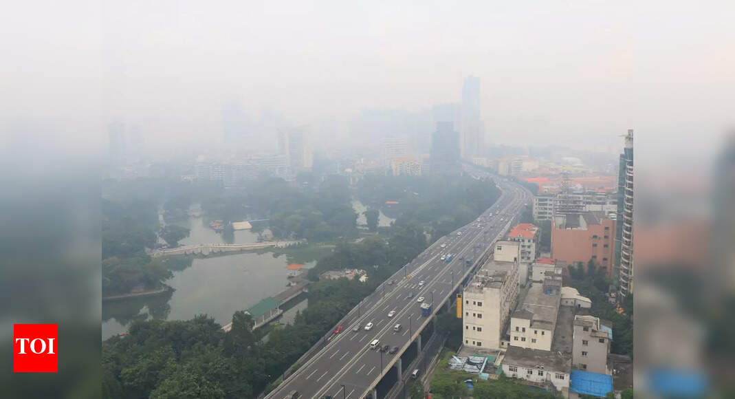 Air Pollution Safety tips: Breathing in a polluted world: How to stay ...