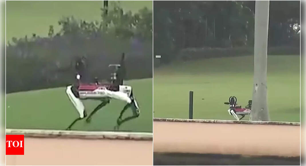 Watch: Robotic dog patrols at president-elect Trump's Mar-a-Lago ...