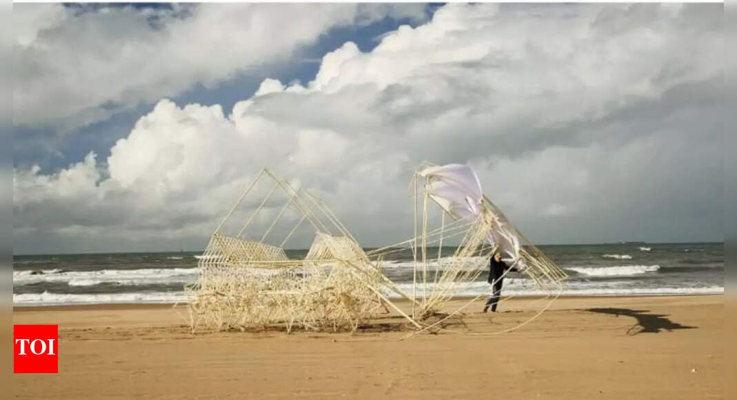 Artist makes sculpture that moves on its own - Times of India