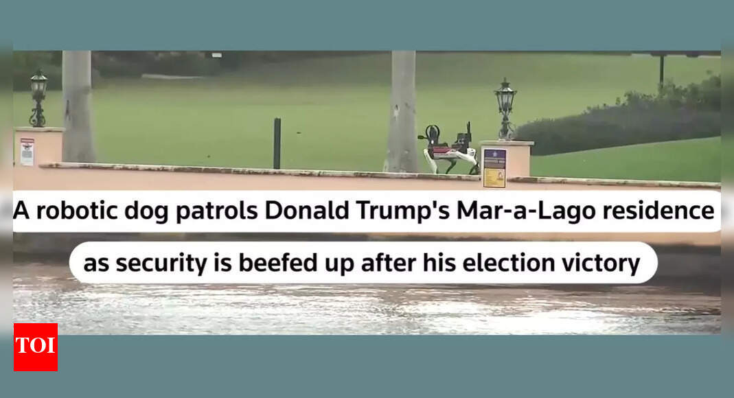 Watch: Robotic dog joins security patrol at Donald Trump’s Mar-a-Lago ...