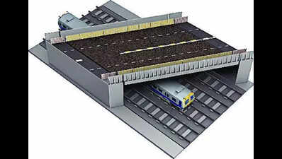 K-Rail Launches Major Infrastructure Project with 27 New RoBs and ...