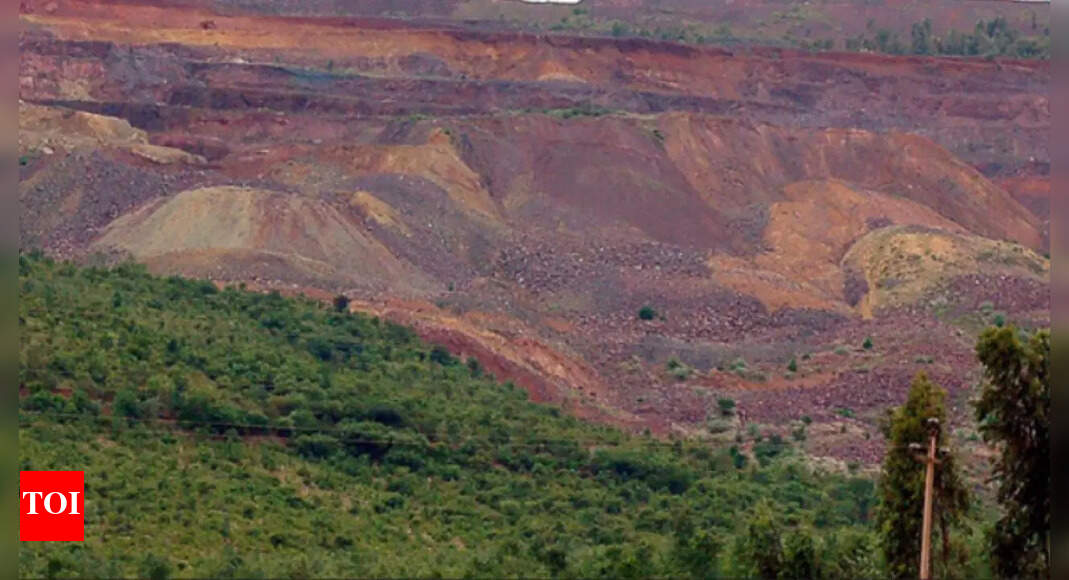 Karnataka plans 24x7 mining in forest areas | Bengaluru News - Times of ...