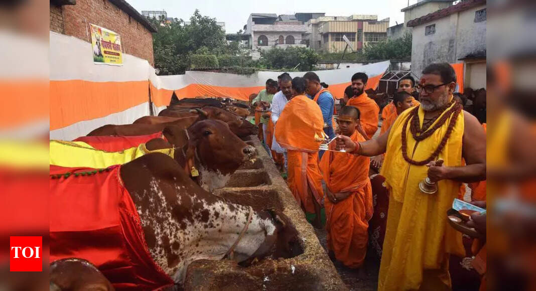 Seers Honor 1966 Cow Protection Movement and Launch 'Cow Year ...