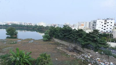 HYDRAA's Innovative Lake Restoration Inspired by Bengaluru's Success ...