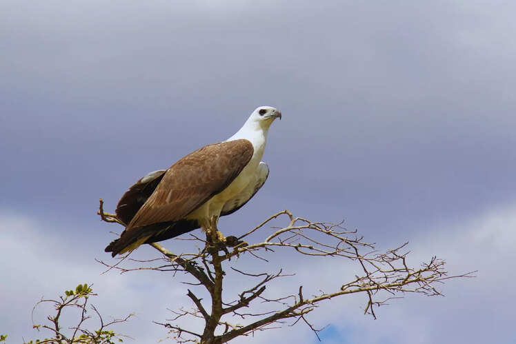 Andaman and Nicobar Islands: Journey through India’s most untouched ...